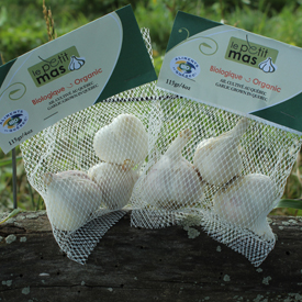 Canadian organic garlic growing guide Growing canadian garlic : All you ...